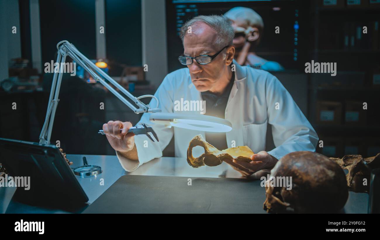Senior archaeologist measures studies hi-res stock photography and ...