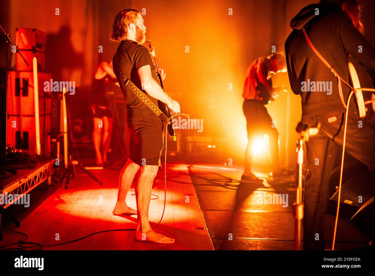 Pigs x 7 gig hi-res stock photography and images - Alamy