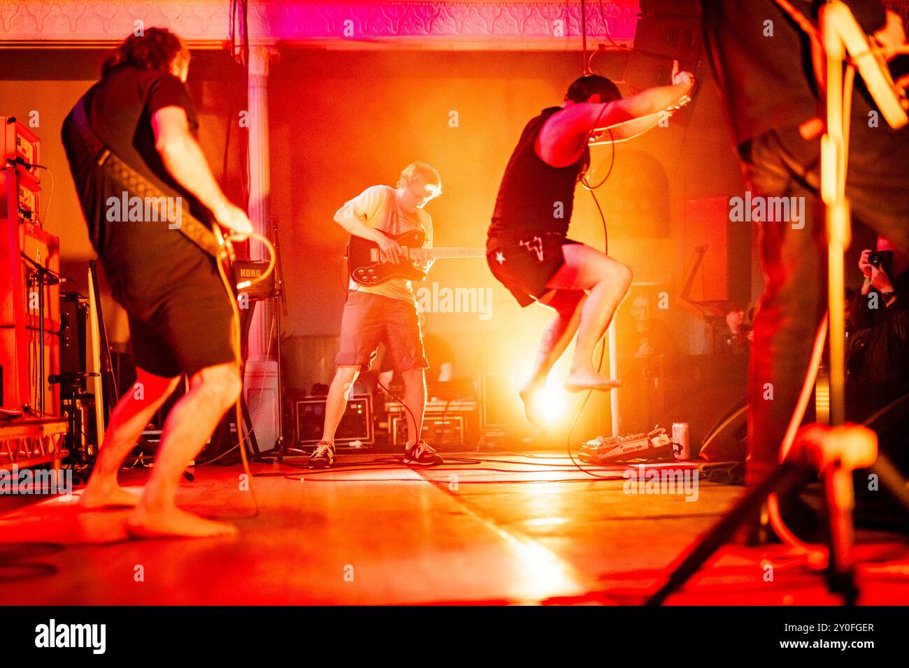 Pigs x 7 gig hi-res stock photography and images - Alamy