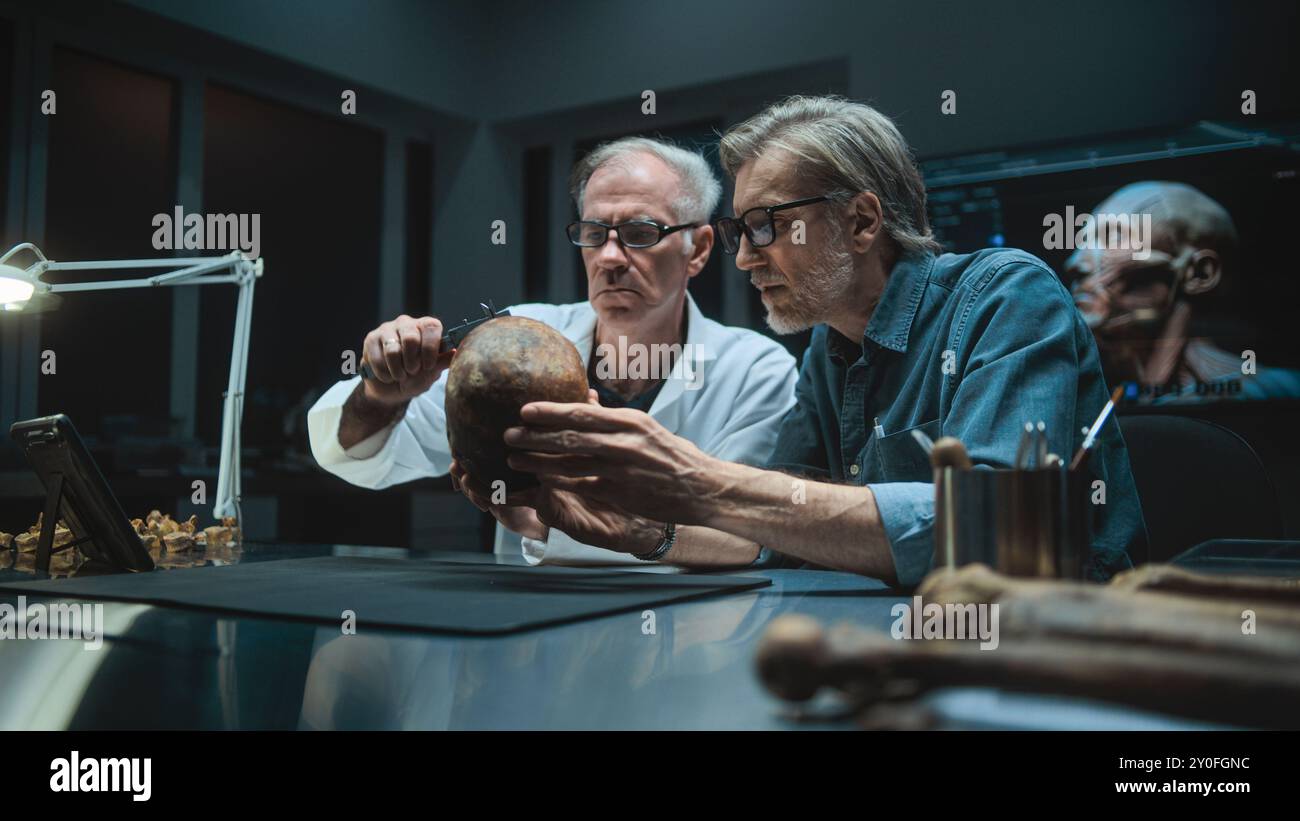 Two archaeologists measures skull of prehistoric extinct human, conduct ...