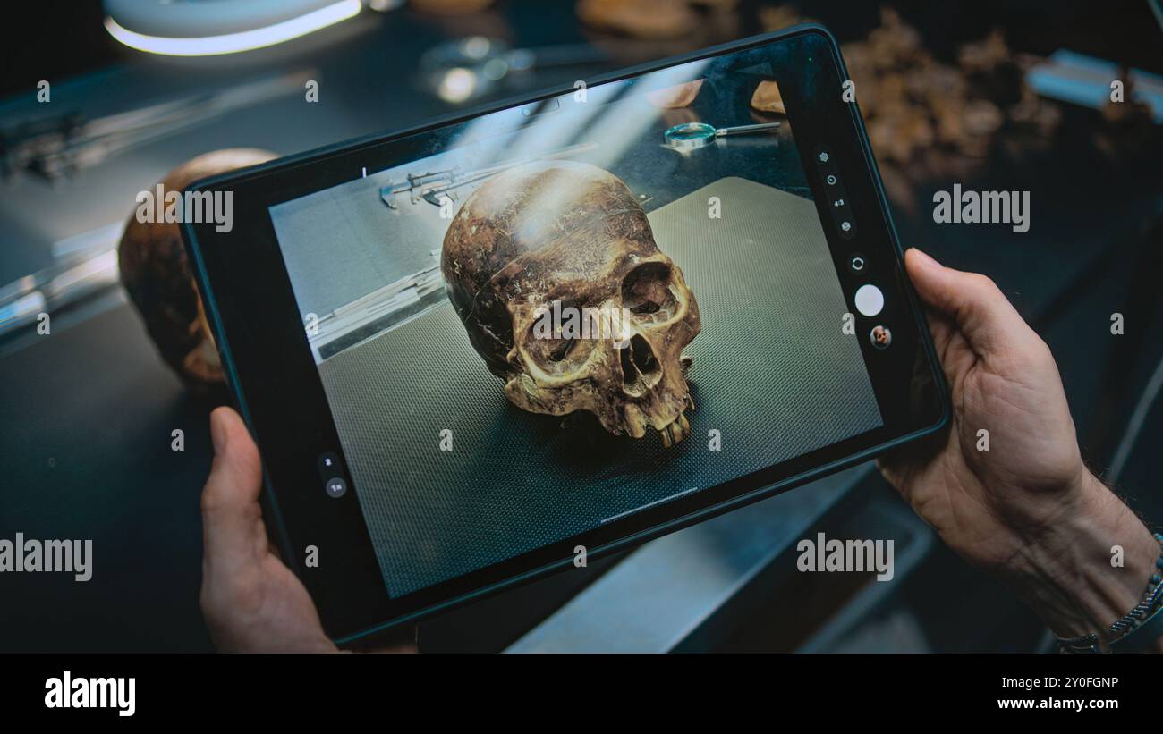 Archaeologist takes photo of fossil remains of prehistoric extinct ...