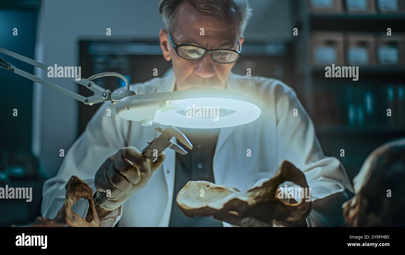 Senior archaeologist takes measurements of fossil skull using ...