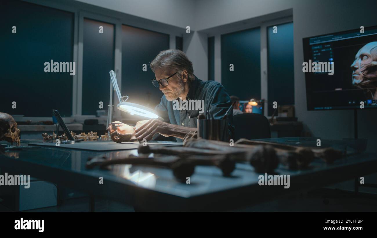 Archaeologist takes measurements of fossil bone under lamp, uses tablet ...