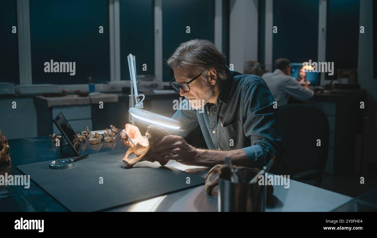 Archaeologist takes measurements of fossil bone under lamp, uses tablet ...