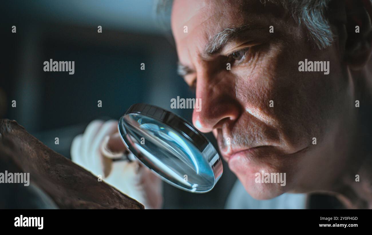 Senior archaeologist studies remains of prehistoric extinct animal or ...
