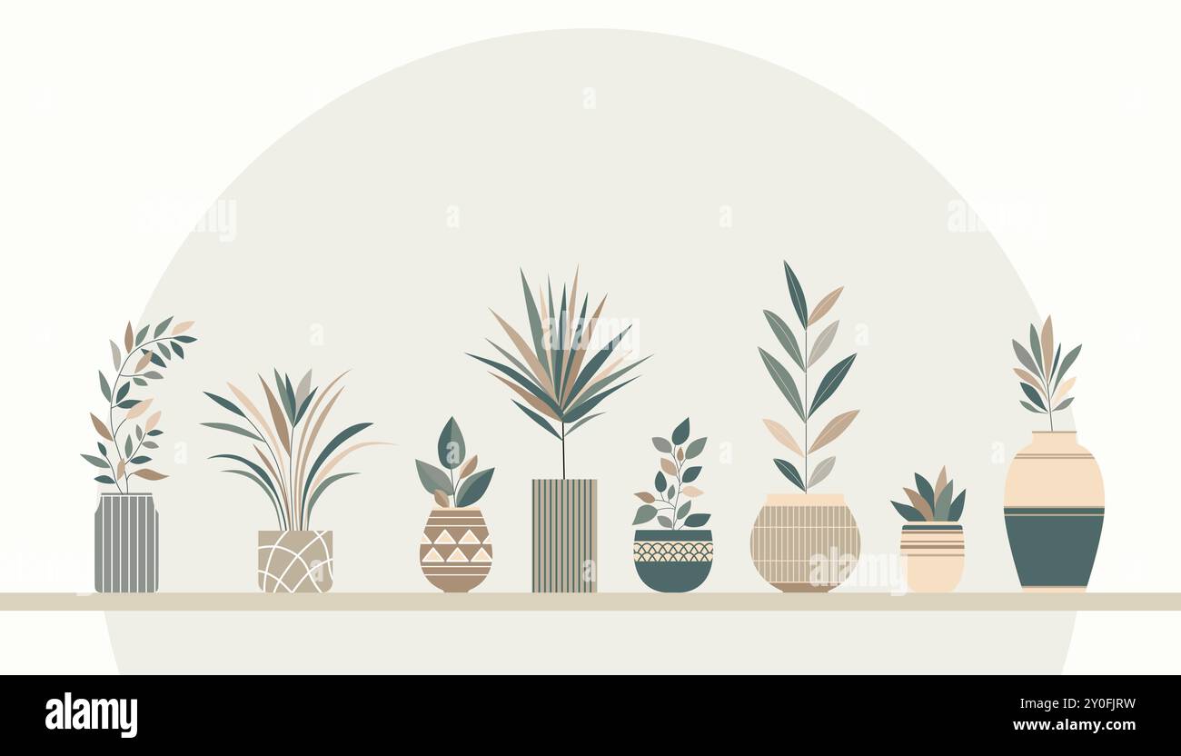 A vector illustration of a group of potted plants on a shelf: ferns ...