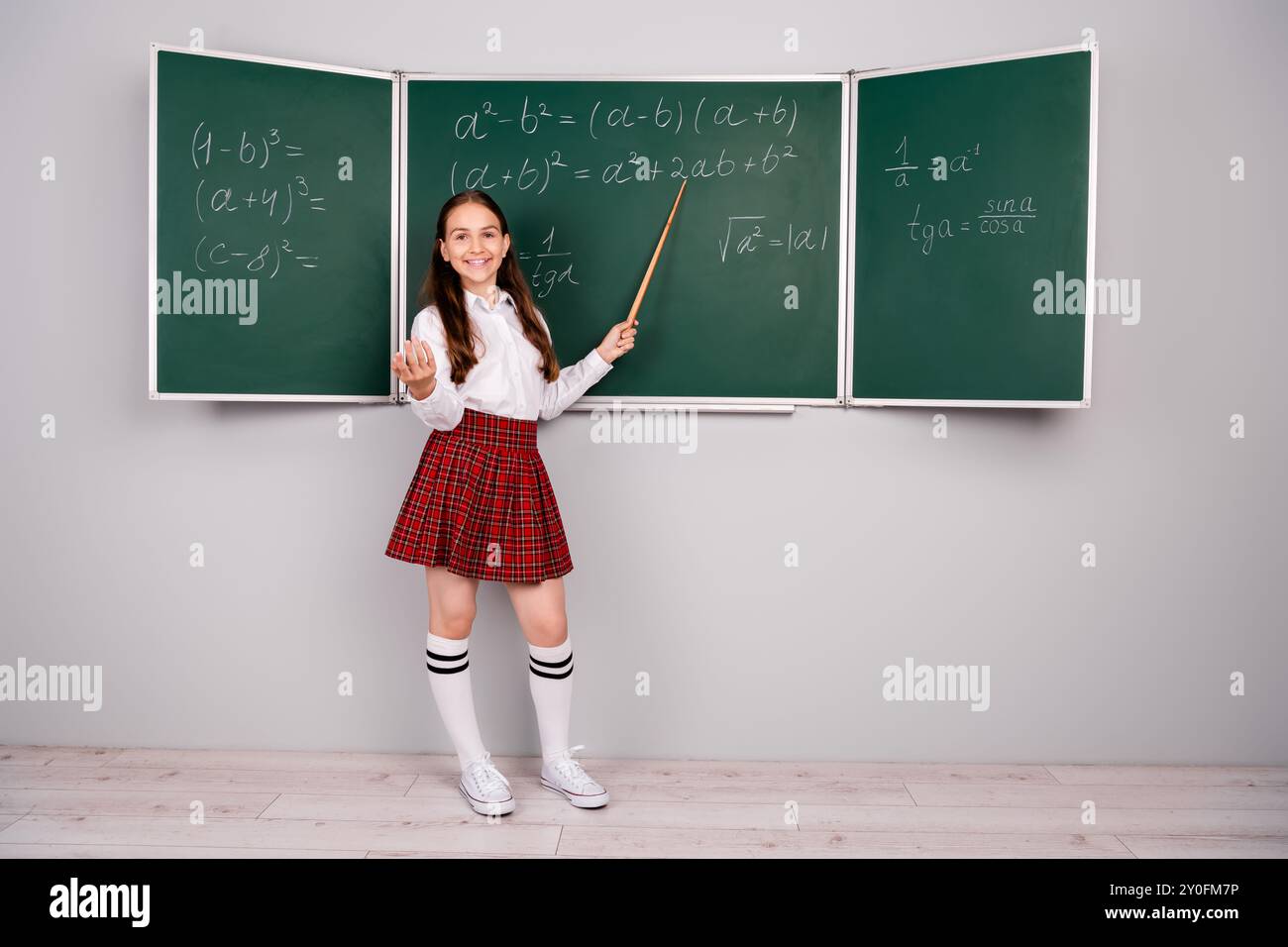 Full length photo of teenager schoolgirl explain stick pointer dressed ...