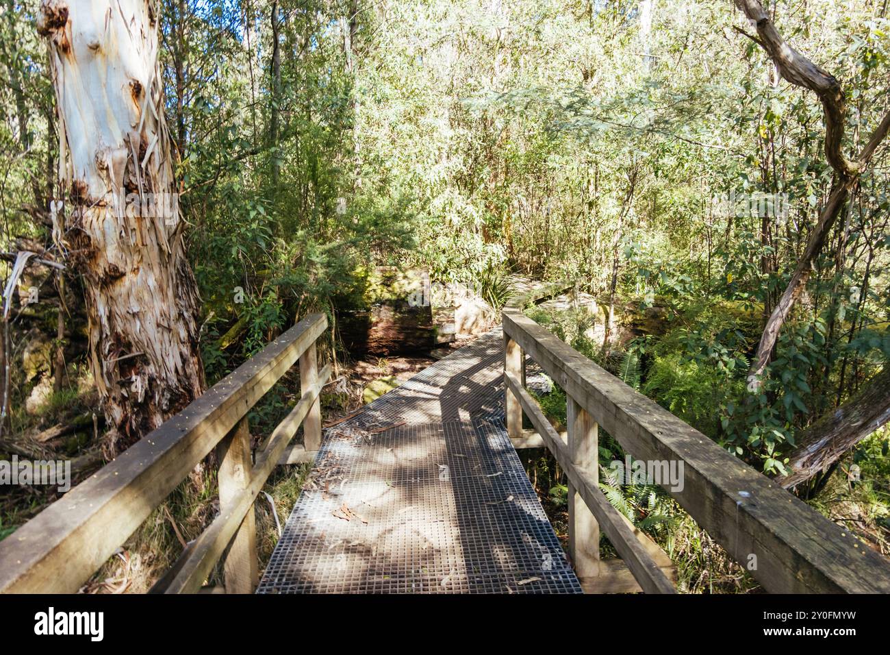 Mt Evelyn Aqueduct Trail Linear Reserve in Melbourne Australia Stock ...