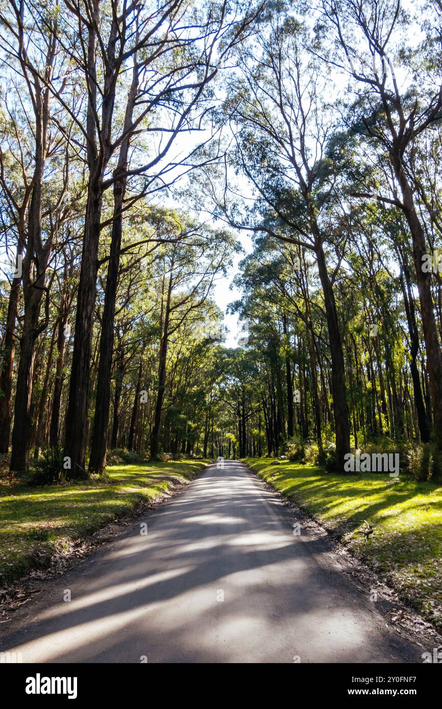 Silvan Rd in Melbourne Australia Stock Photo - Alamy