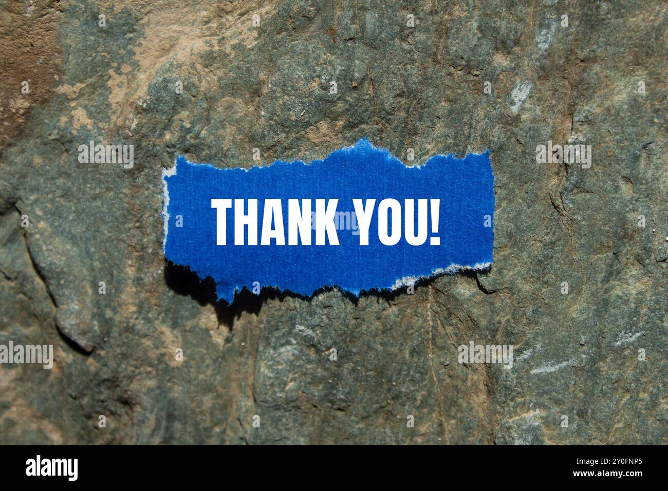 Thank you message written on ripped torn blue paper piece with stone ...