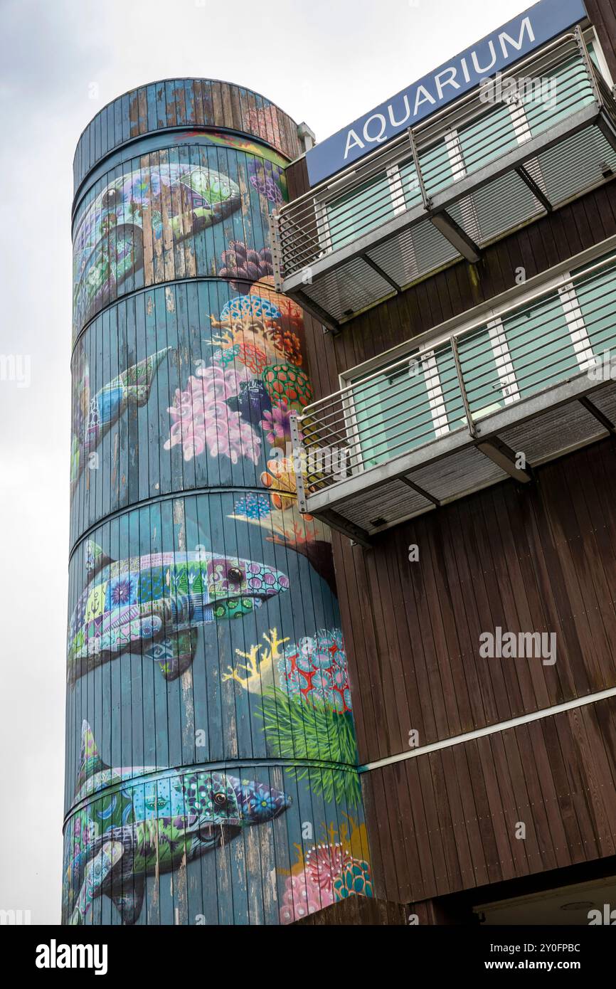 UK, England, Devon, Plymouth, Fish Walk, National Marine Aquarium Stock ...