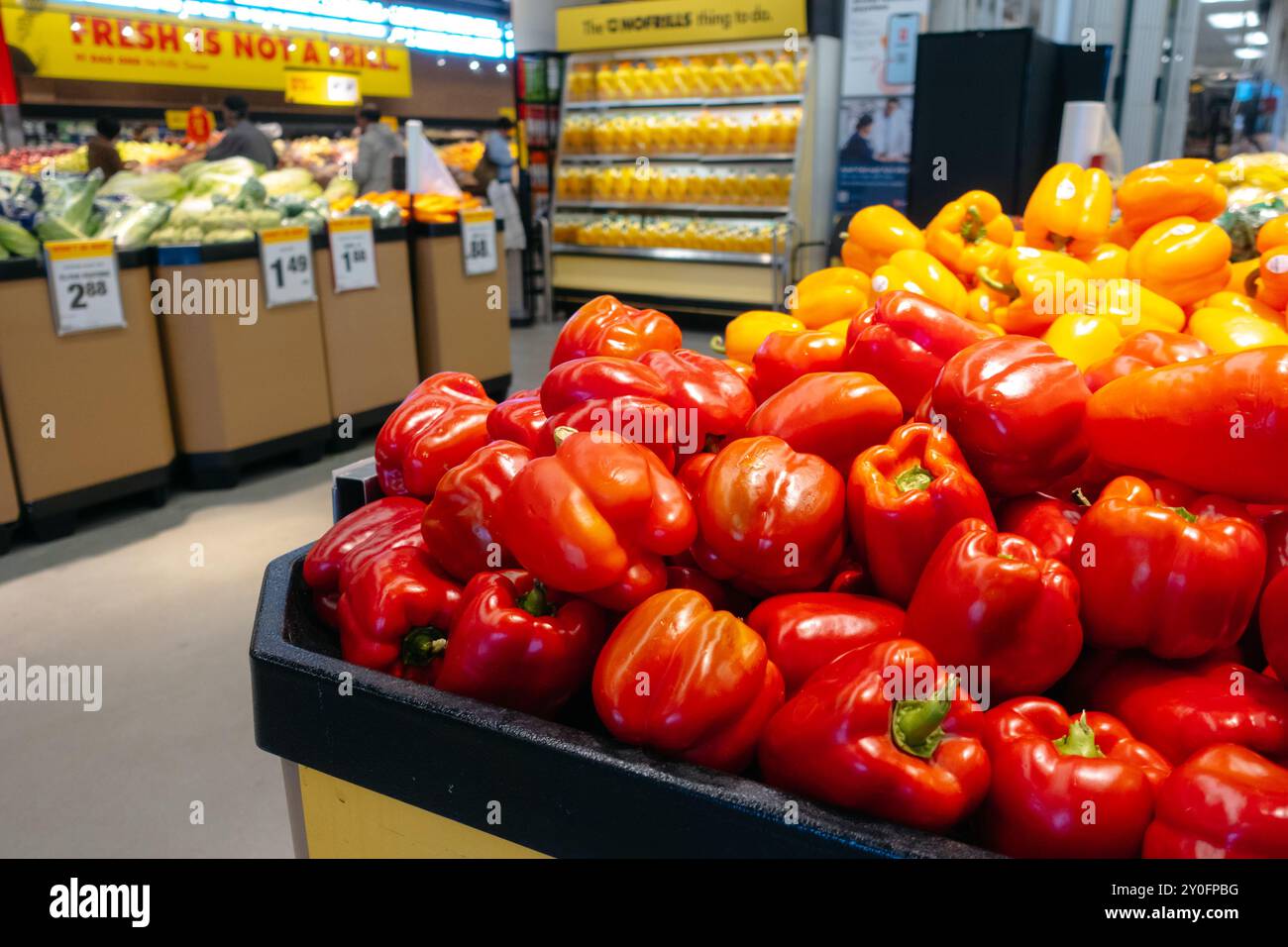 Close-up view of red and yellow peppers displayed inside a supermarket ...