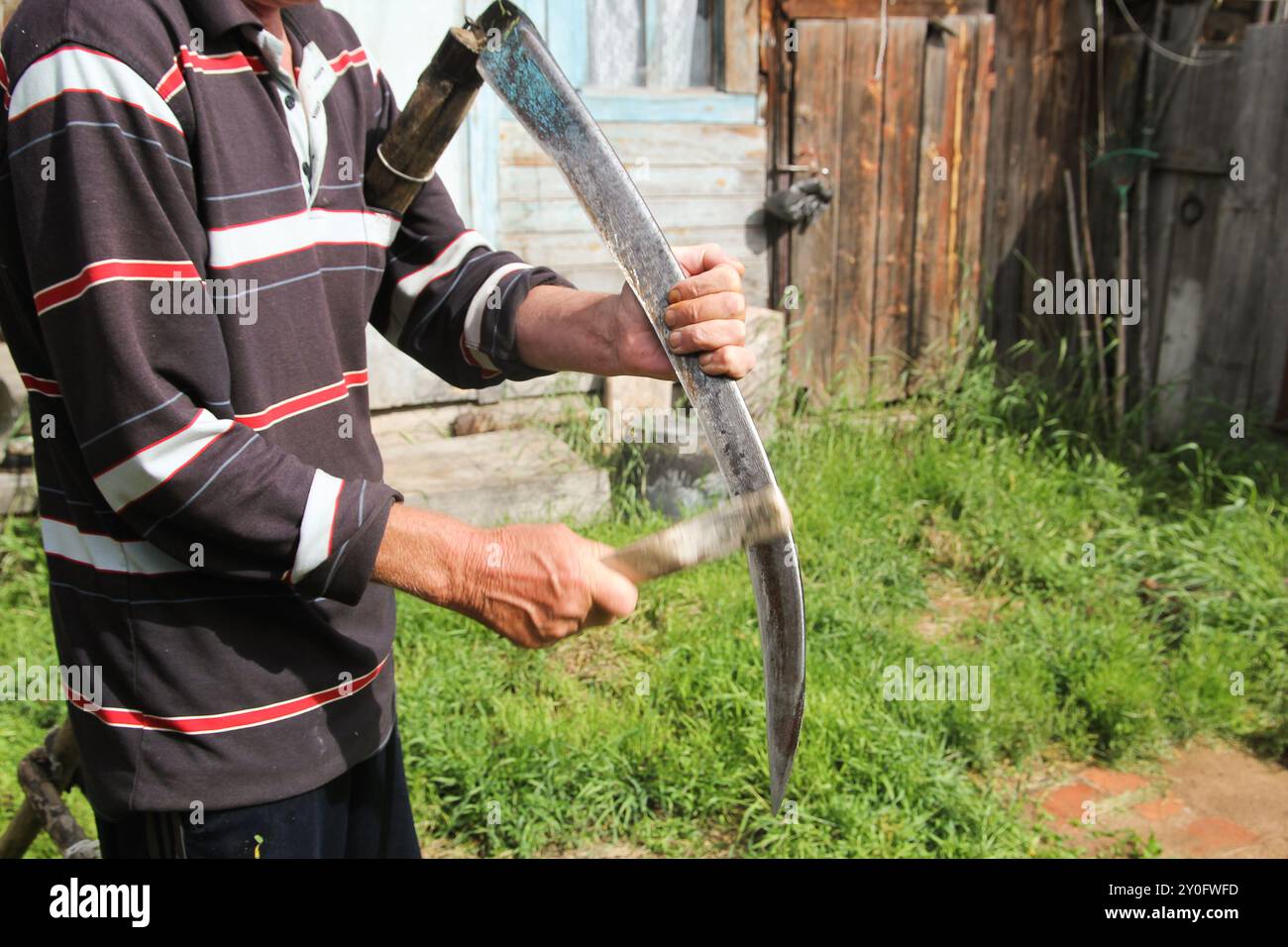 Man sharpening a scythe before mowing Stock Photo - Alamy