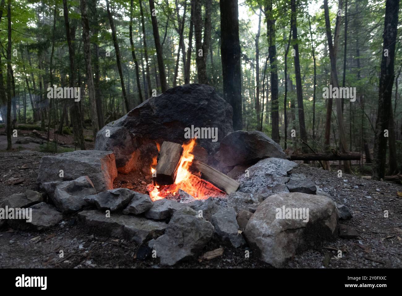 Campfire burning in a fire pit at a campground, surrounded by trees ...