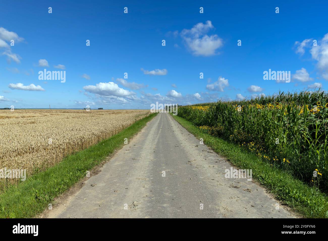 Paved highway in rural areas, part of a simple road in rural areas with ...