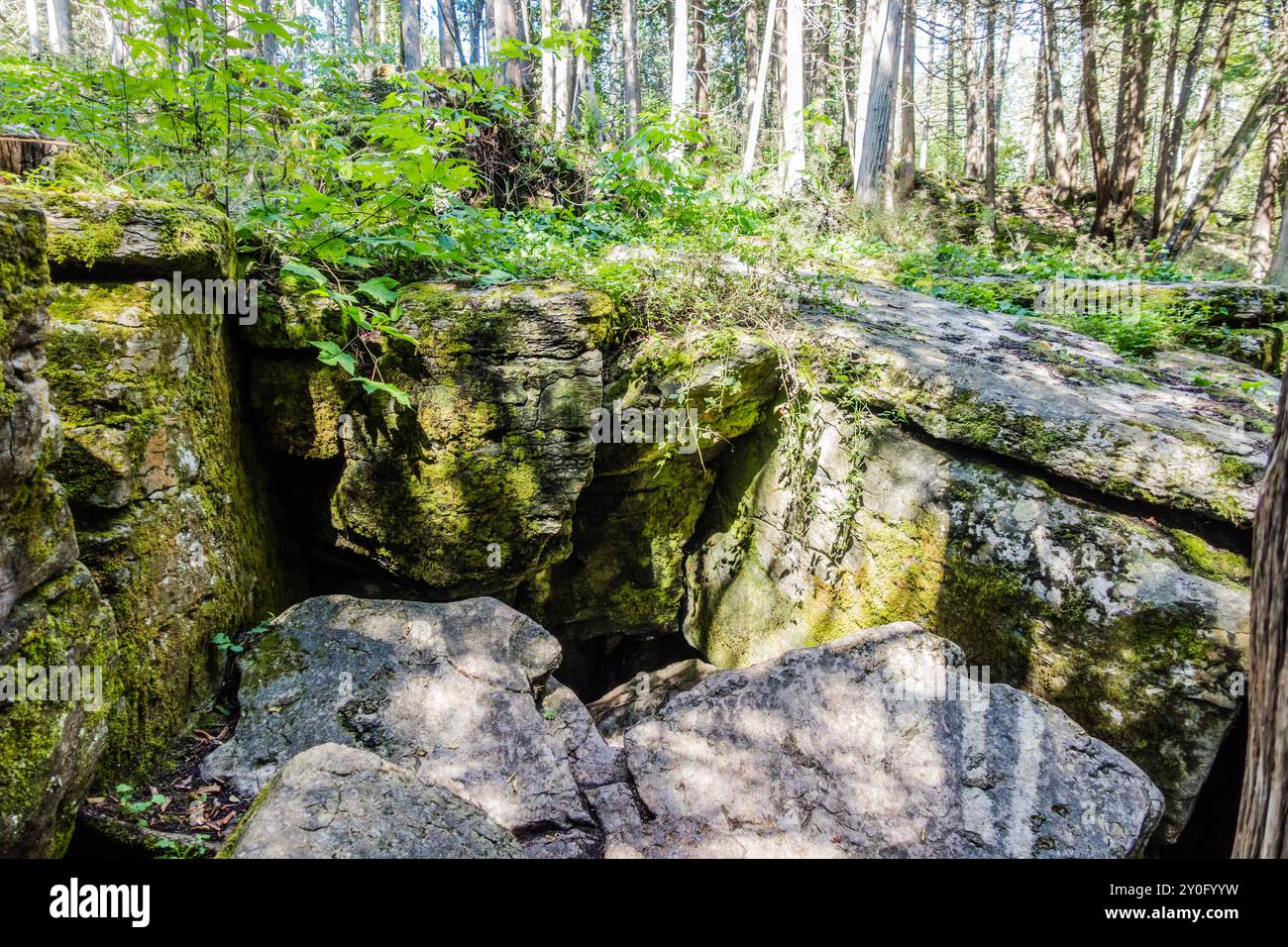 Warsaw Caves Conservation Area in Canada features a series of seven ...