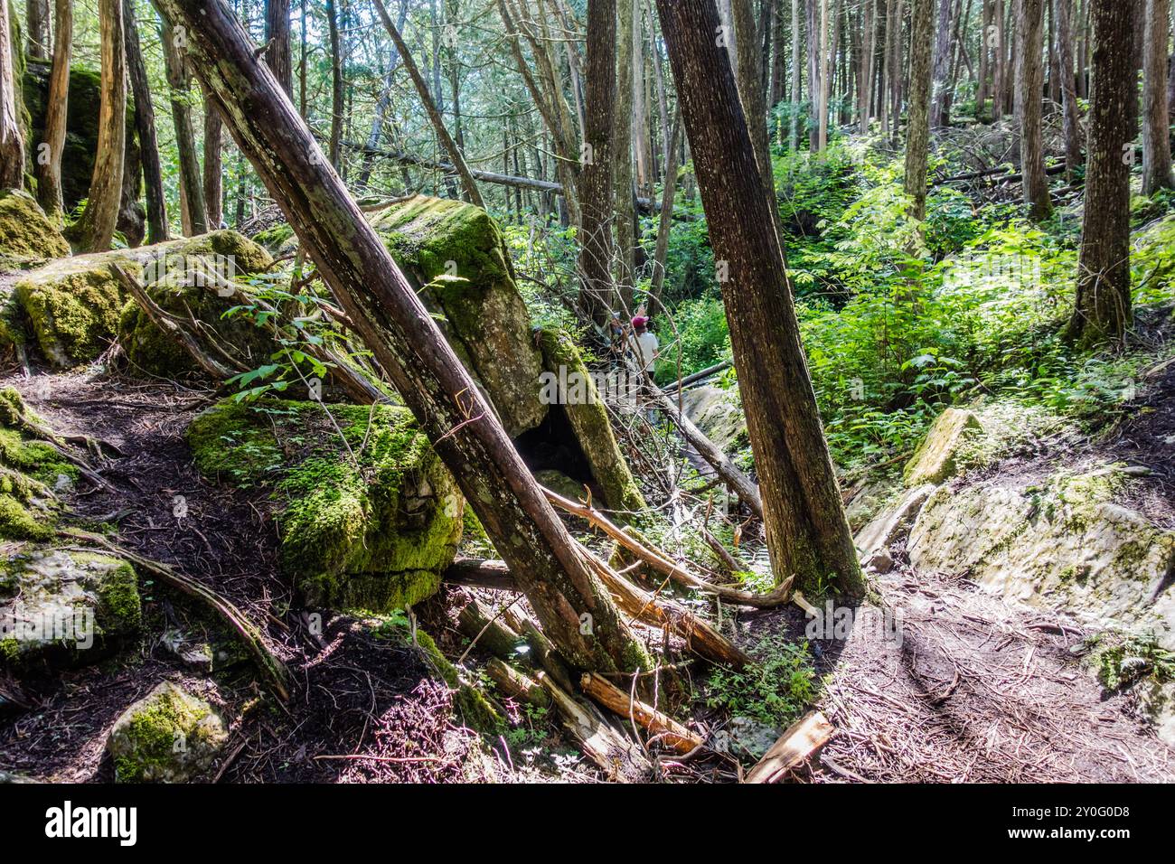 Warsaw Caves Conservation Area in Canada features a series of seven ...