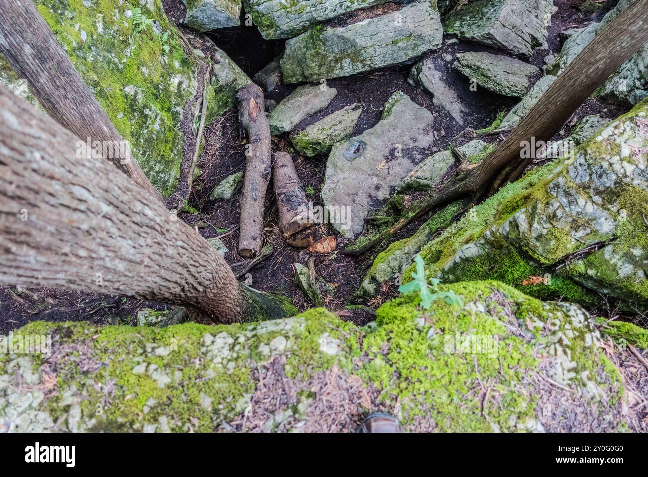 Warsaw Caves Conservation Area in Canada features a series of seven ...