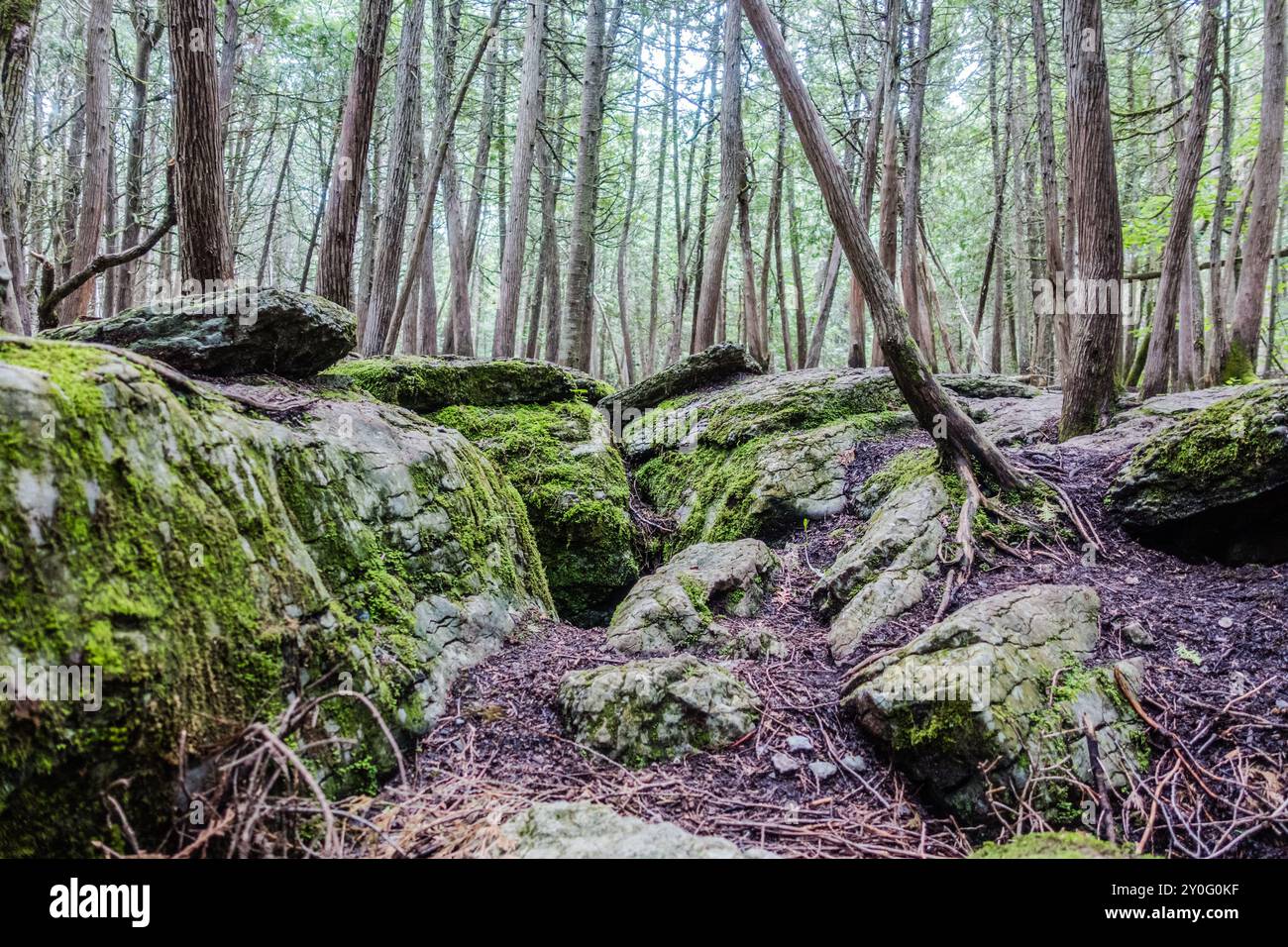 Warsaw Caves Conservation Area in Canada features a series of seven ...
