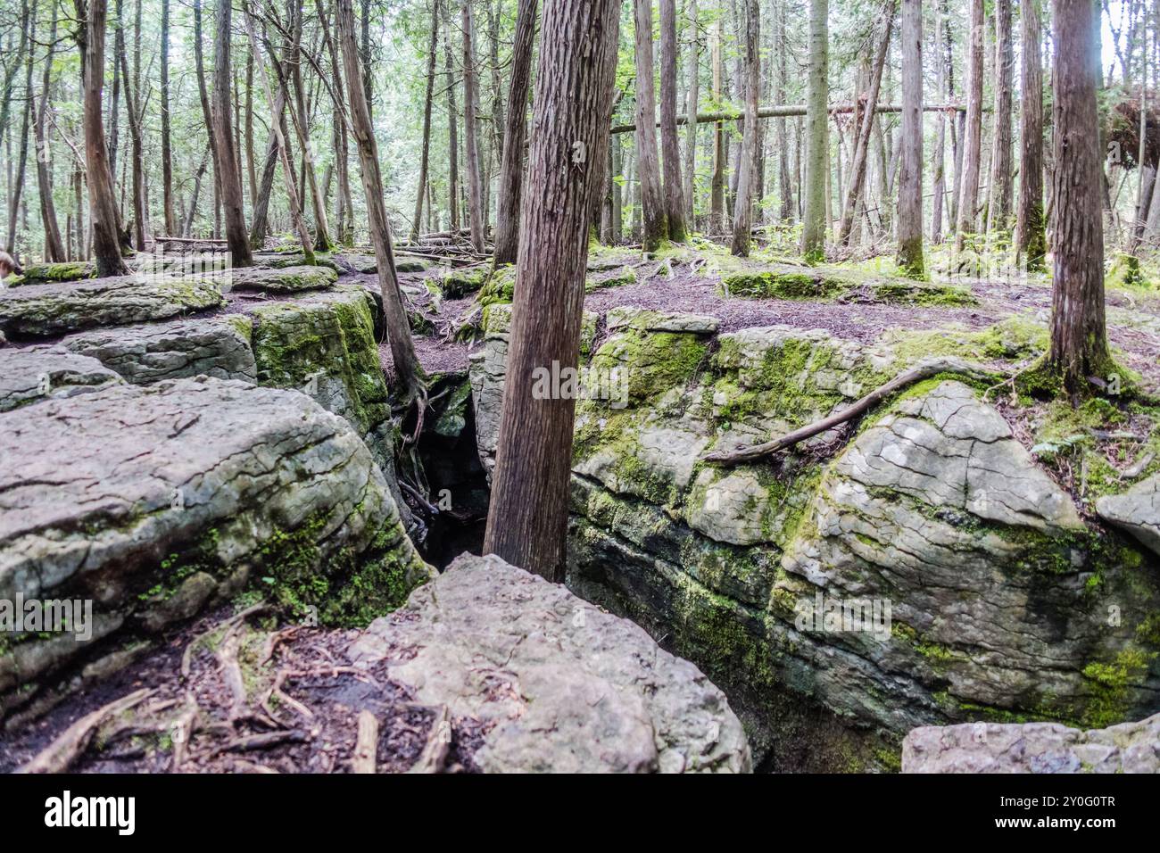 Warsaw Caves Conservation Area in Canada features a series of seven ...
