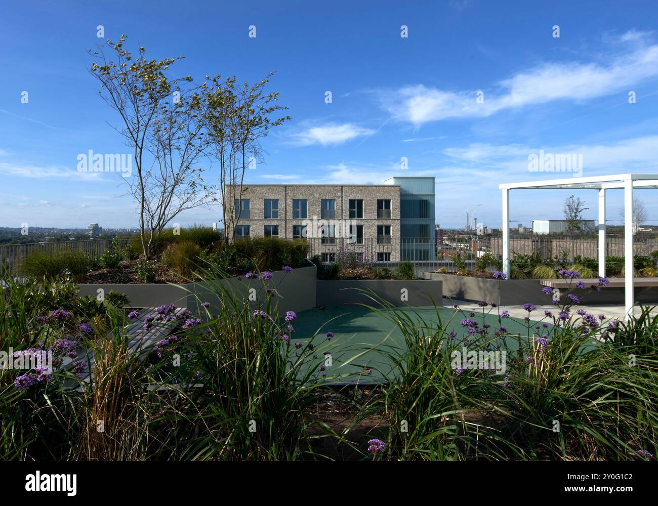 Landscaped roof garden. Osier Way, London, United Kingdom. Architect ...