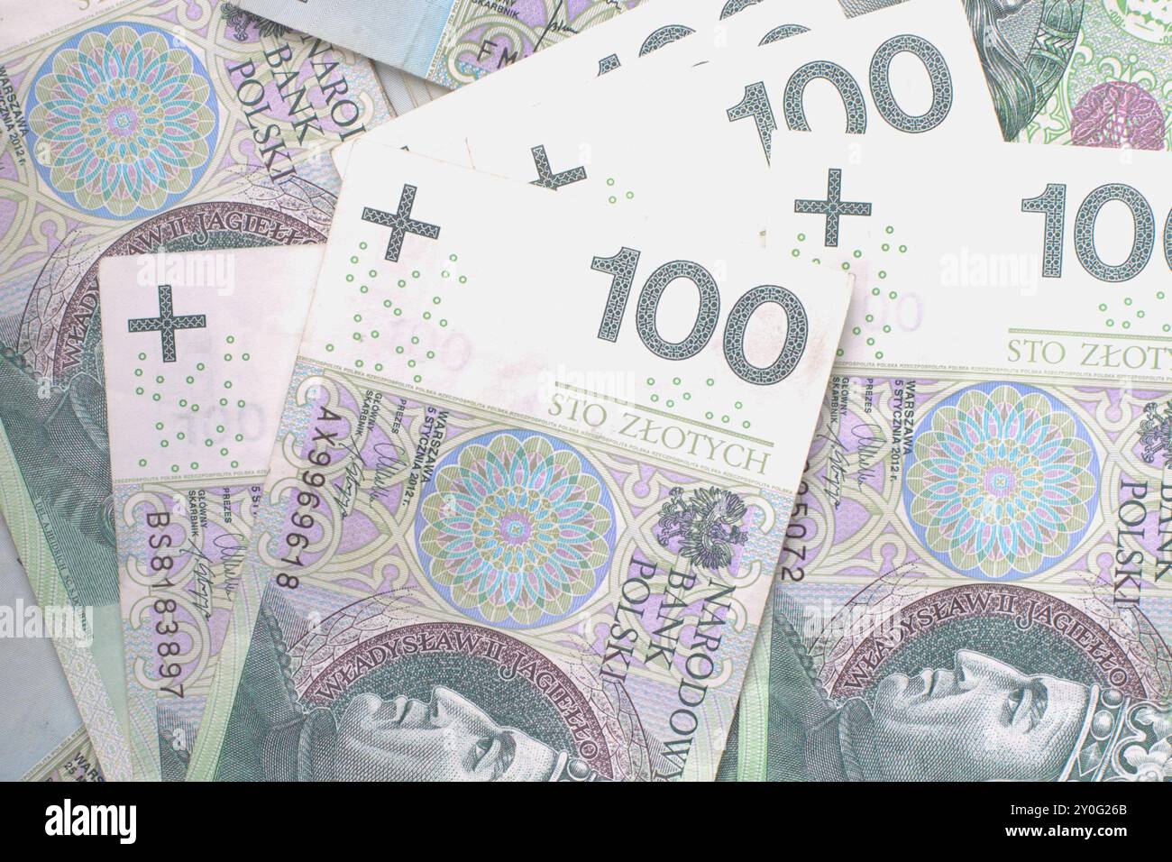 Hand Holding a Large Stack of Polish Banknotes Stock Photo - Alamy