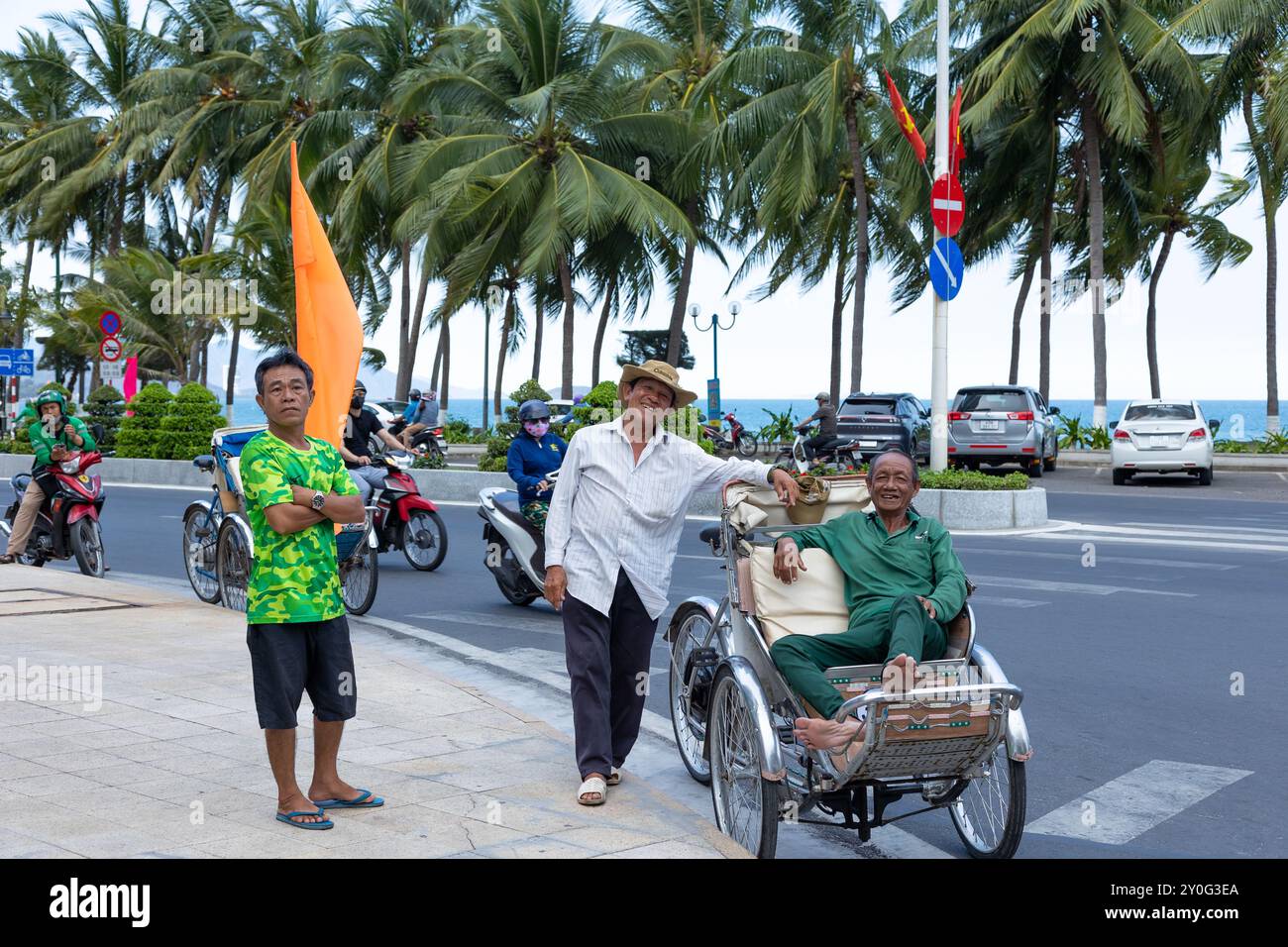 Roadway palm trees street trees hi-res stock photography and images - Alamy