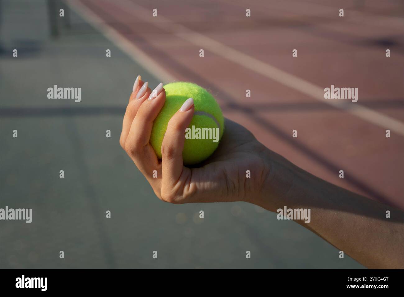 Female hand keeps a yellow tennis ball on the red and green background ...