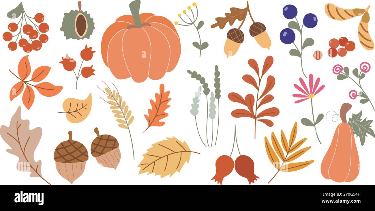 Açor Stock Vector Images - Alamy