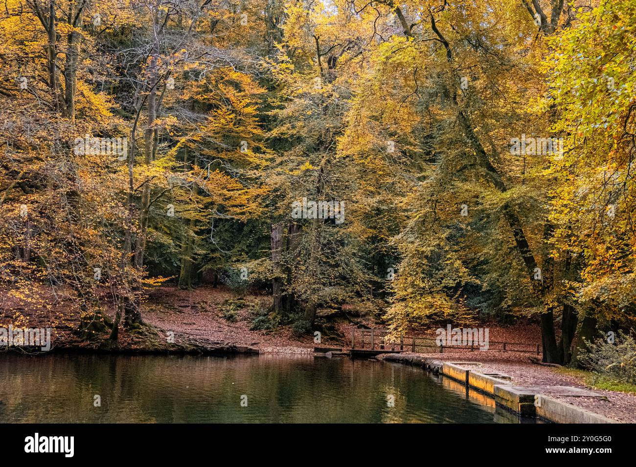 Autumnal lakeside natural beauty scene Stock Photo - Alamy