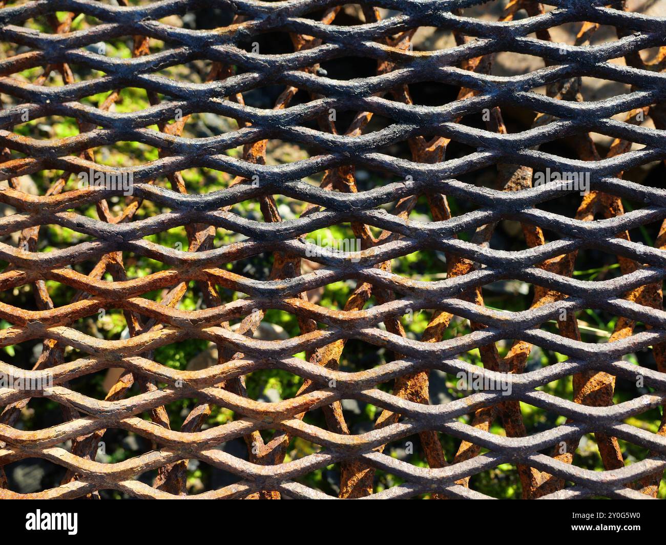 The fine mesh protective grid offers a sturdy structure, ideal for use ...