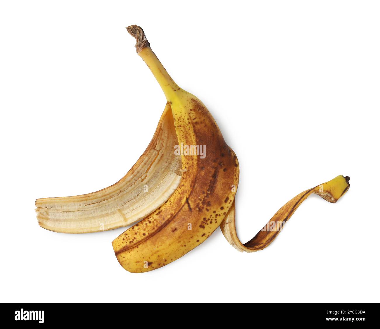 Top spots Cut Out Stock Images & Pictures - Alamy