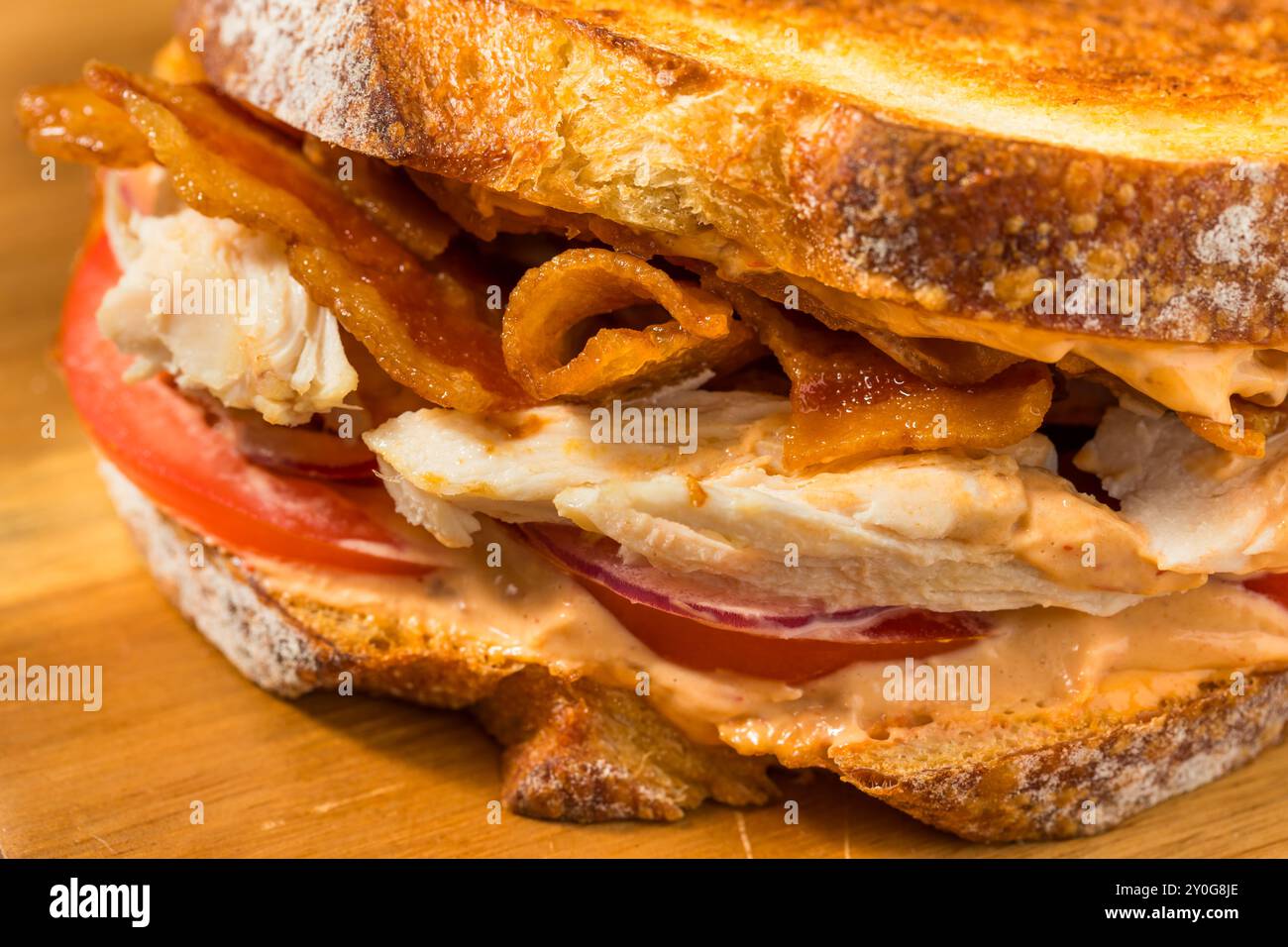 Spicy Homemade Chipotle Chicken Sandwich Panini with Bacon and Tomato ...