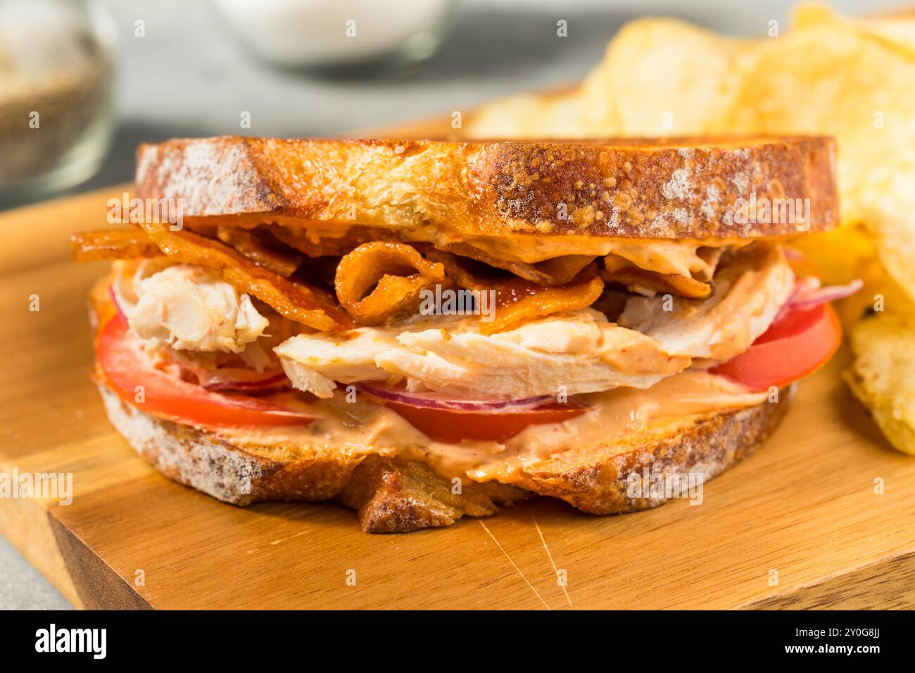 Spicy Homemade Chipotle Chicken Sandwich Panini with Bacon and Tomato ...
