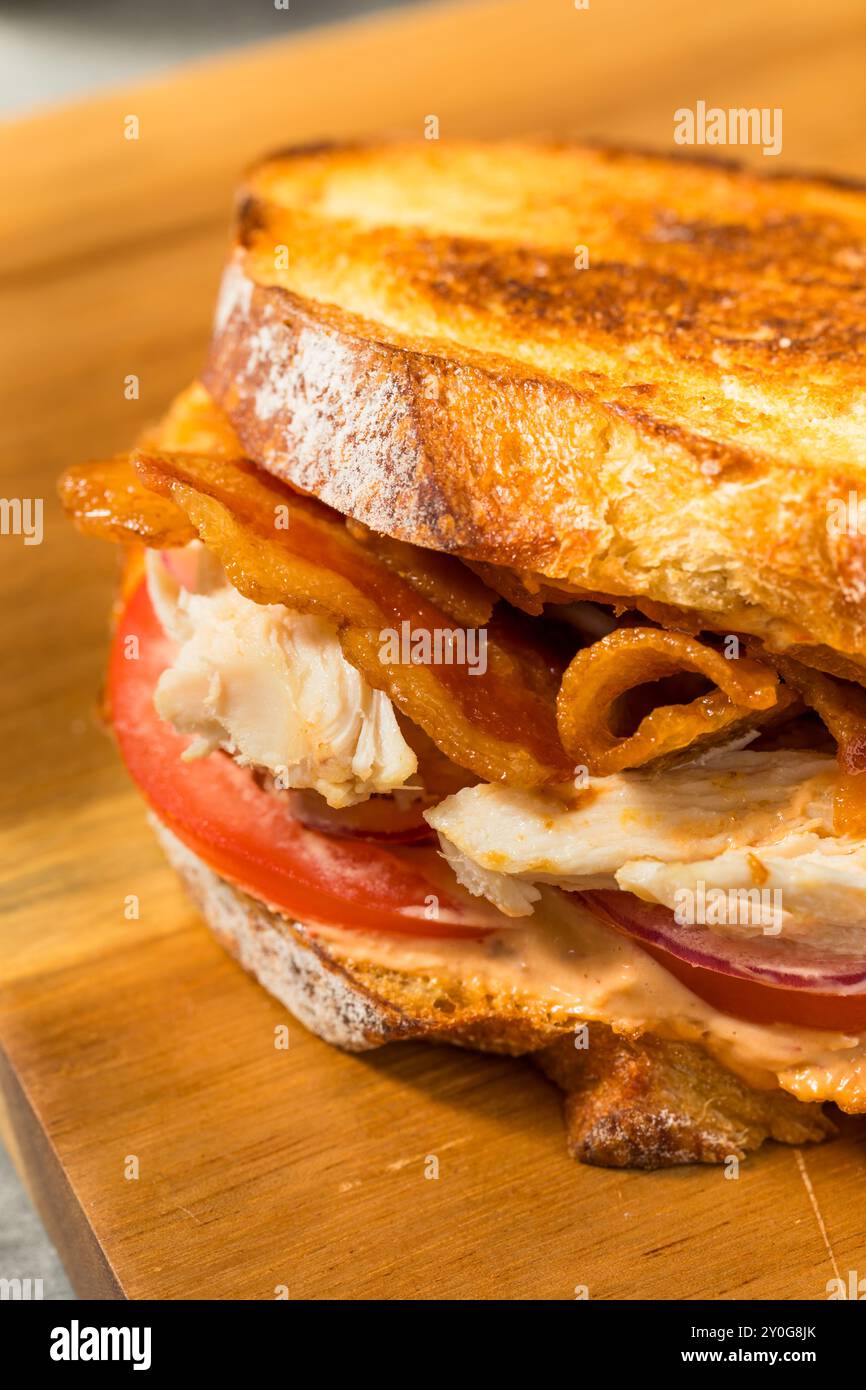 Spicy Homemade Chipotle Chicken Sandwich Panini with Bacon and Tomato ...