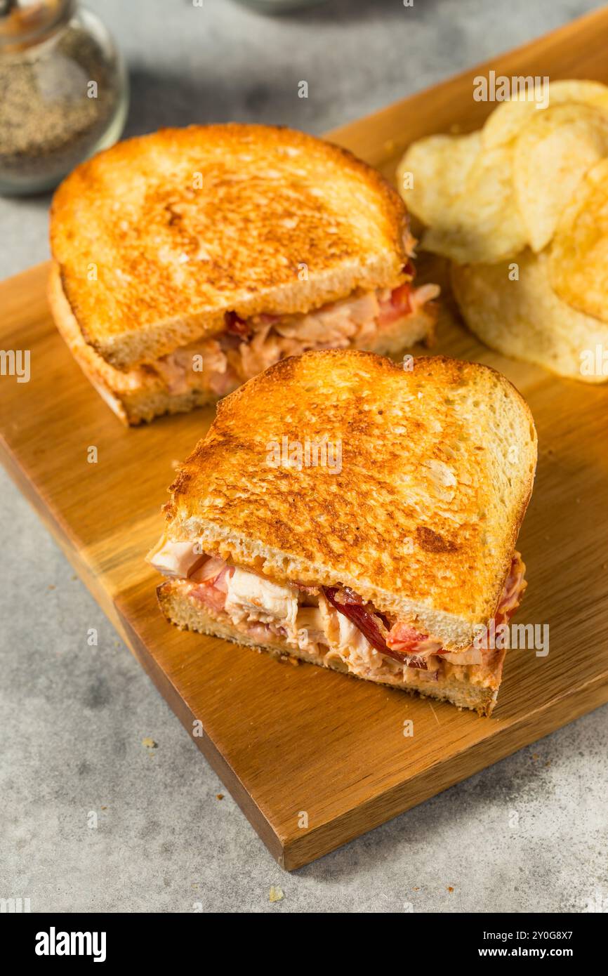 Spicy Homemade Chipotle Chicken Sandwich Panini with Bacon and Tomato ...