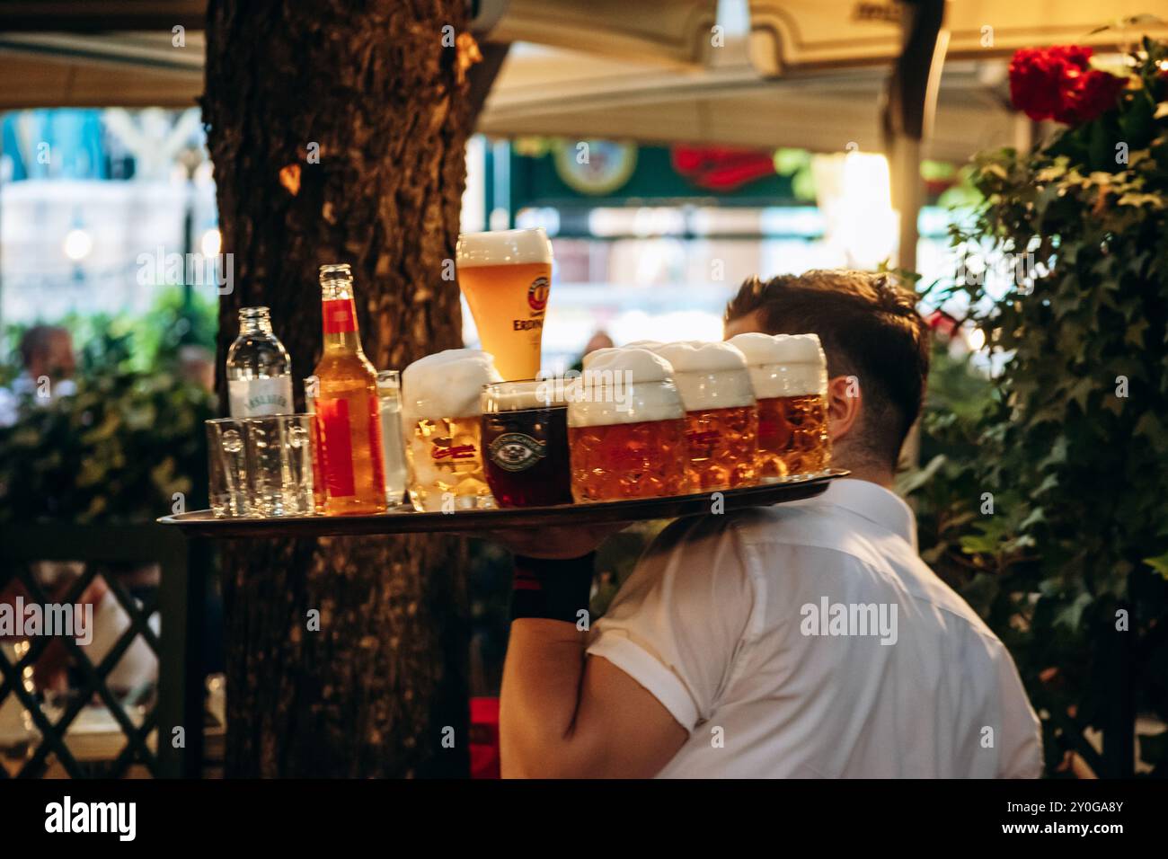 Austrian beer hi-res stock photography and images - Alamy