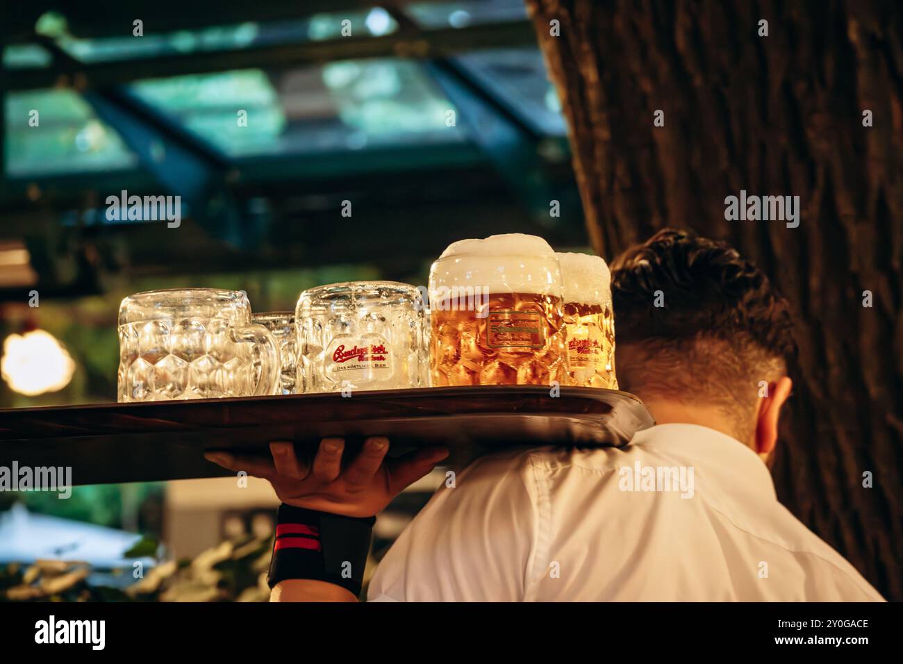 Austrian beer hi-res stock photography and images - Alamy