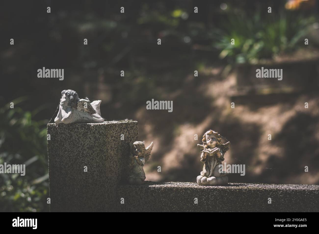 Status symbol with dead hi-res stock photography and images - Alamy