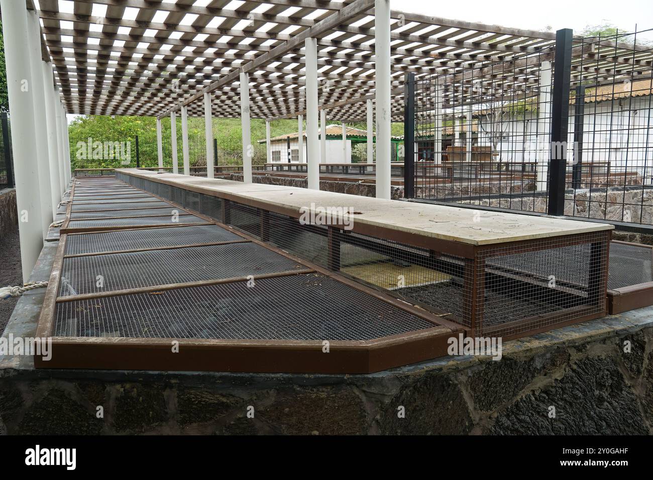 Centro de Crianza Tortugas Gigantes Arnaldo Tupiza Chamaidan, breeding ...