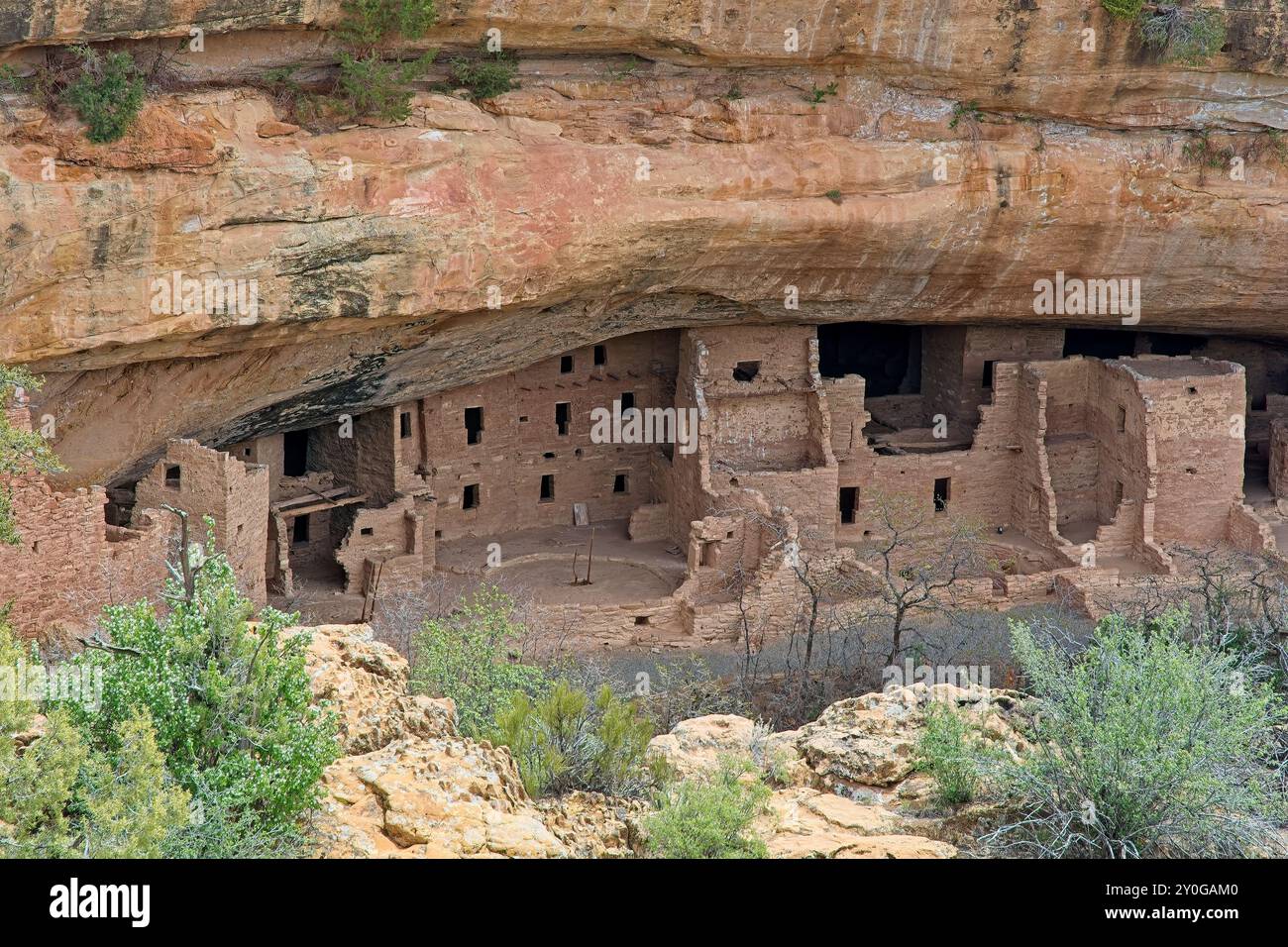 Stone masonry Spruce Tree House cliff dwelling from mesa top in Mesa ...