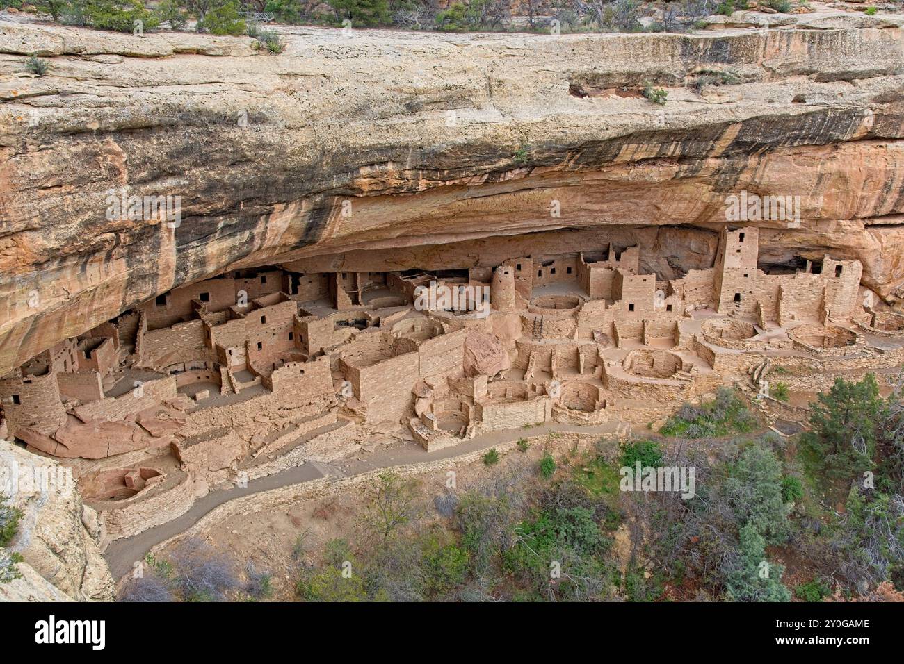 Stone masonry Cliff Palace in rock alcove of mesa cliff from mesa top ...