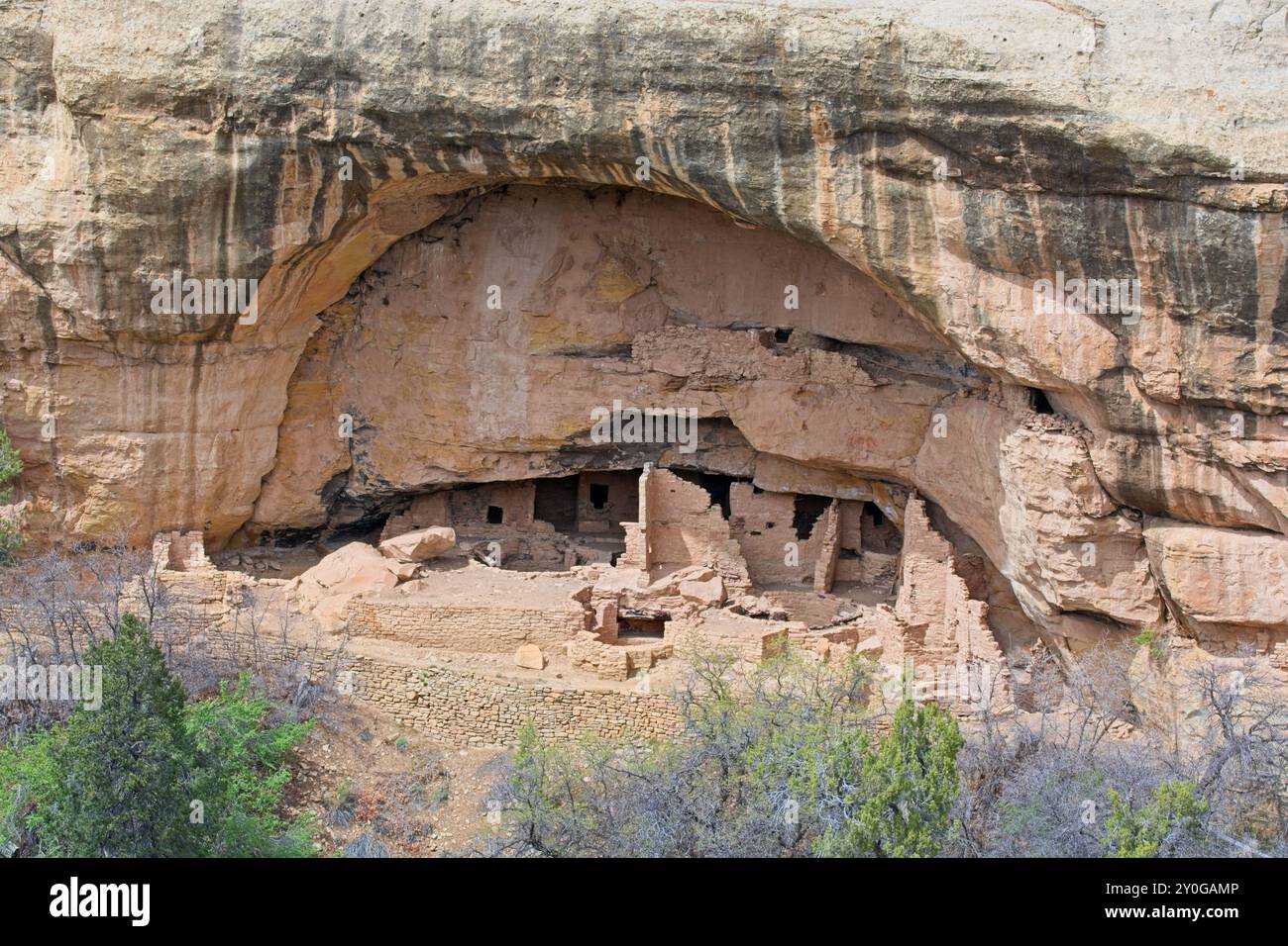 Stone masonry ruins of Oak Tree House pueblo in rock alcove of mesa ...