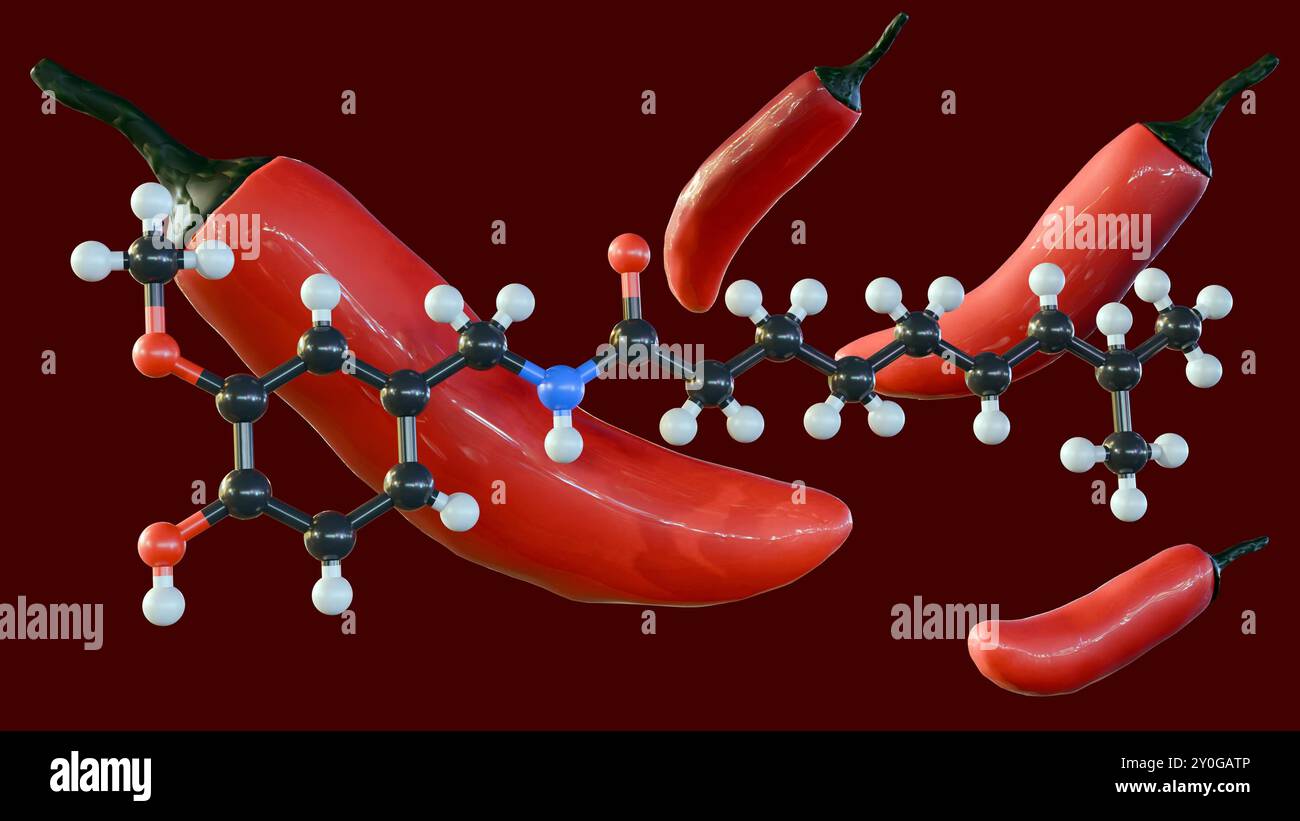 A 3D rendering of red chili showcase the molecular structure of ...