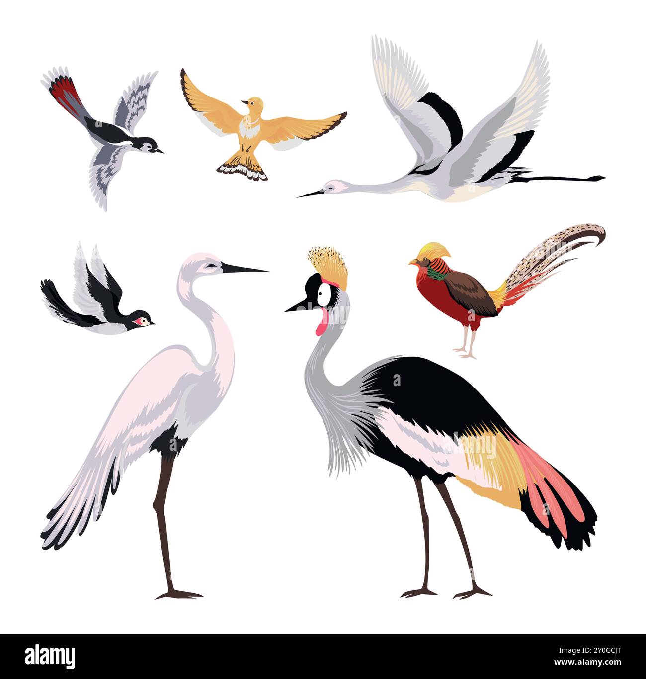 Wild birds. Flying animals. Asian heron. Cranes flock. Cuckoo and lark ...