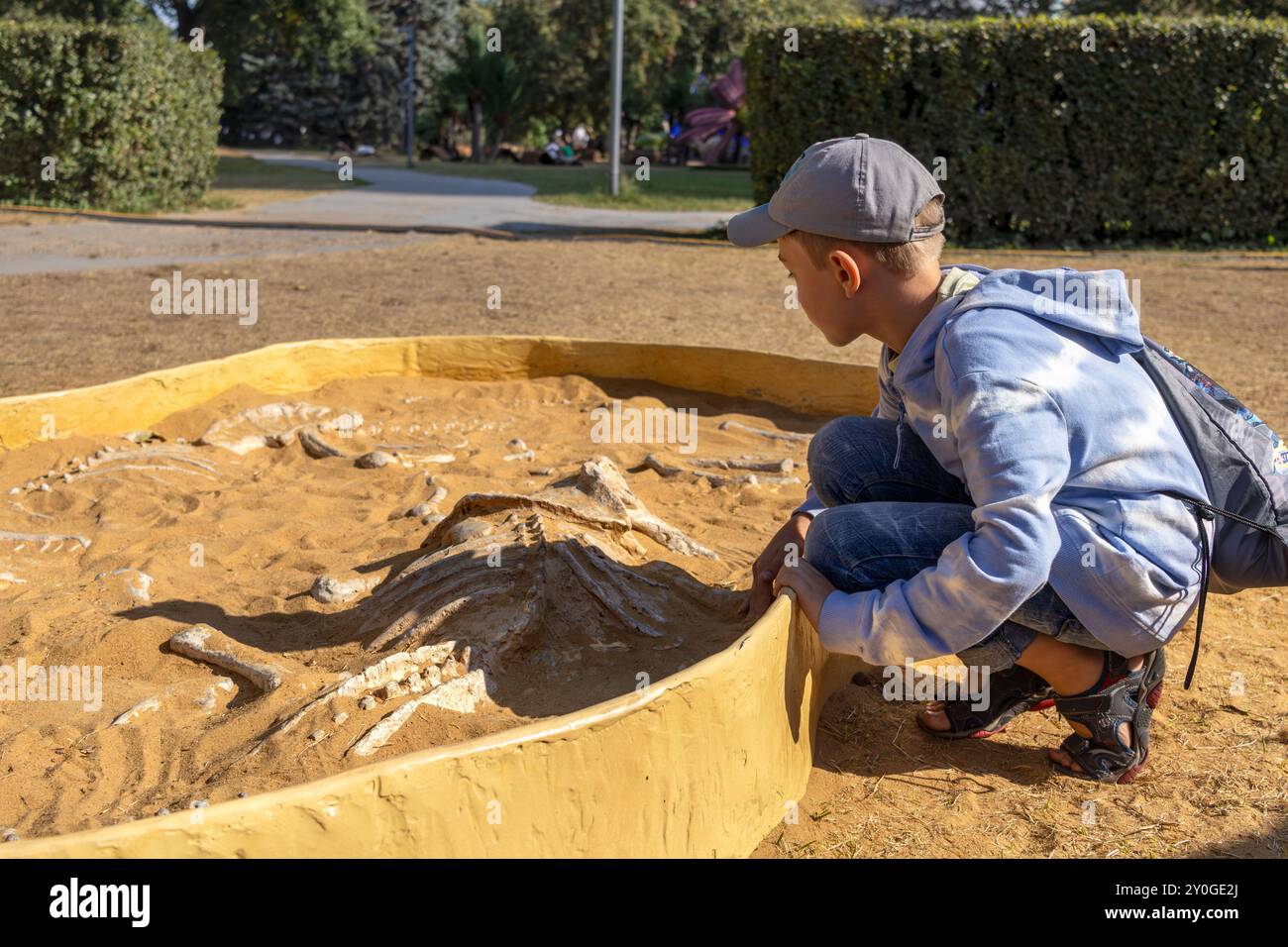 Boy digs up dinosaur bones in sand. Fascination with paleontology Stock ...