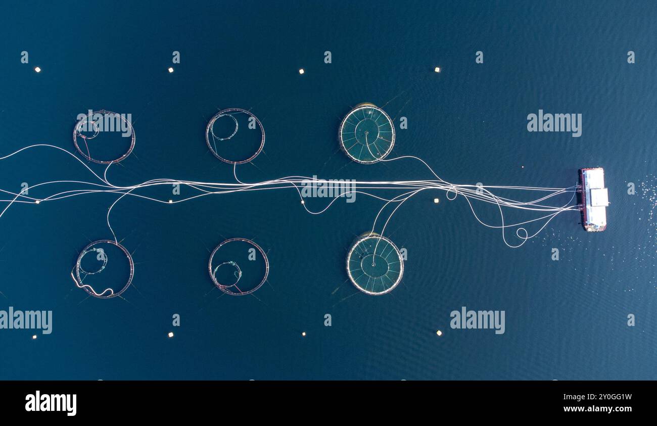 Aerial shot directly above a circular shaped fish farm Stock Photo - Alamy
