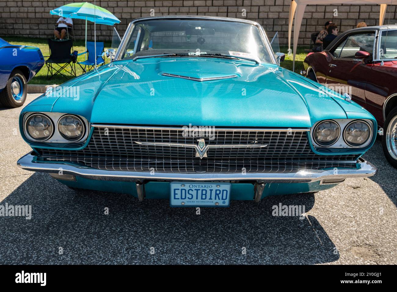 The classic Thunderbird, introduced by Ford in 1955, is celebrated for ...