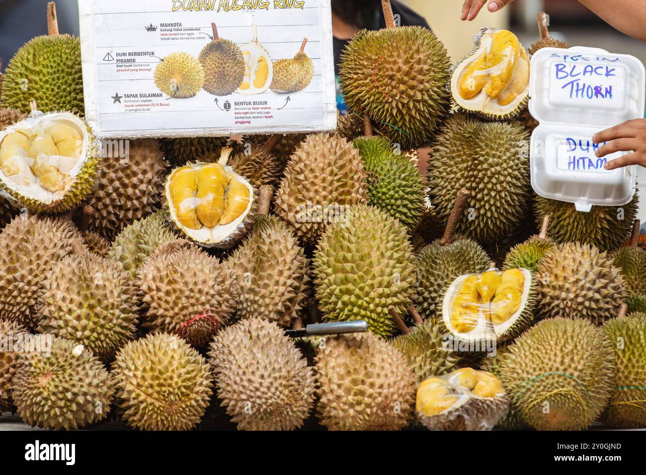 Fresh durian fruit assortment on display at a Malaysian market with ...