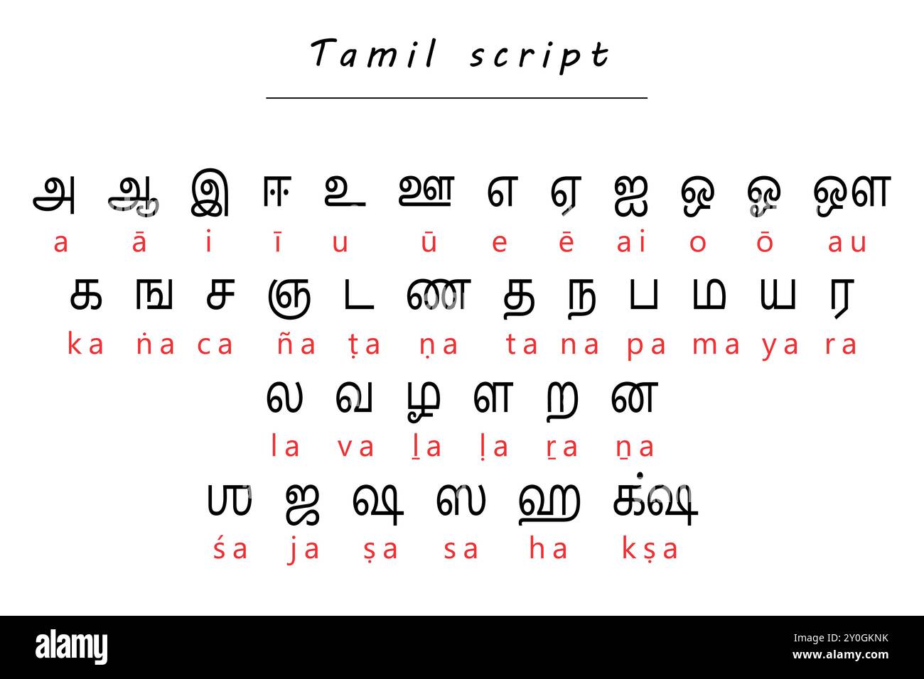 Tamil alphabet chart featuring characters with Romanized ...